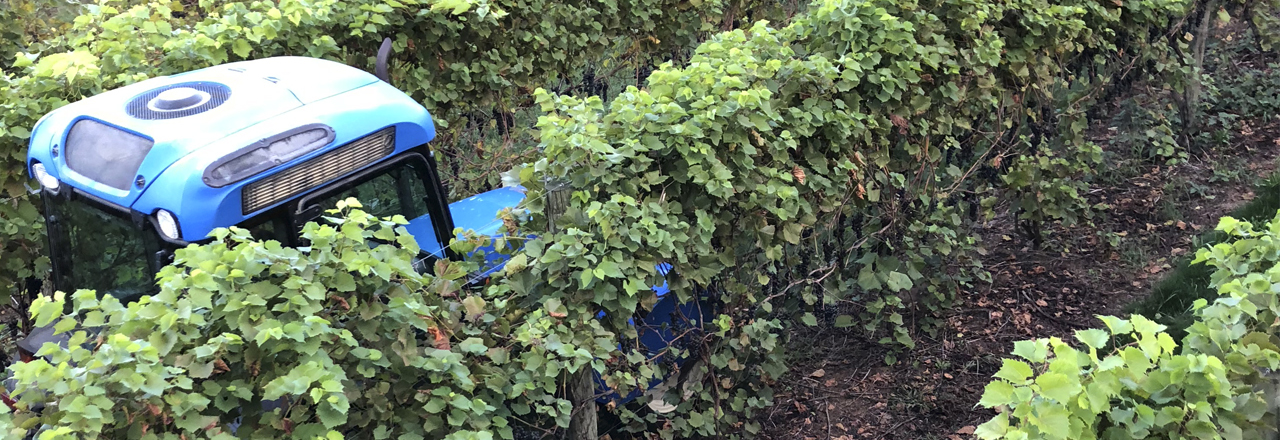 12 Corners Vineyards Grape Variety